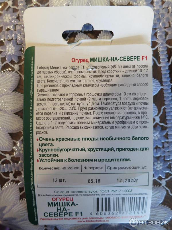 Отзыв о Семена Биотехника Огурец "Мишка-на-севере F1" | Смешной огурец ...
