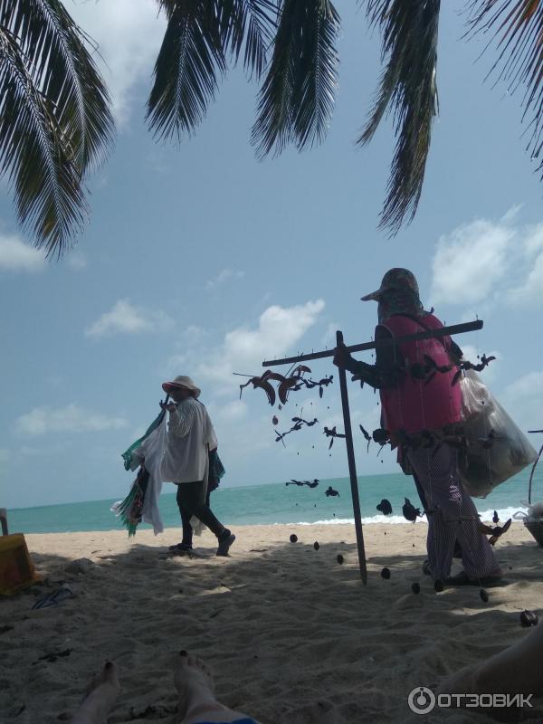 Отзыв о Пляж Ламаи на острове Самуи (Таиланд) | Один из основных и ...