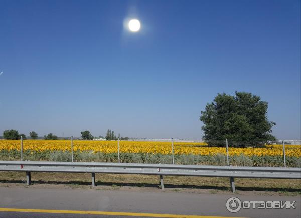 Отзыв о Поездка на машине из Москвы в станицу Голубицкая | Главное, не ...