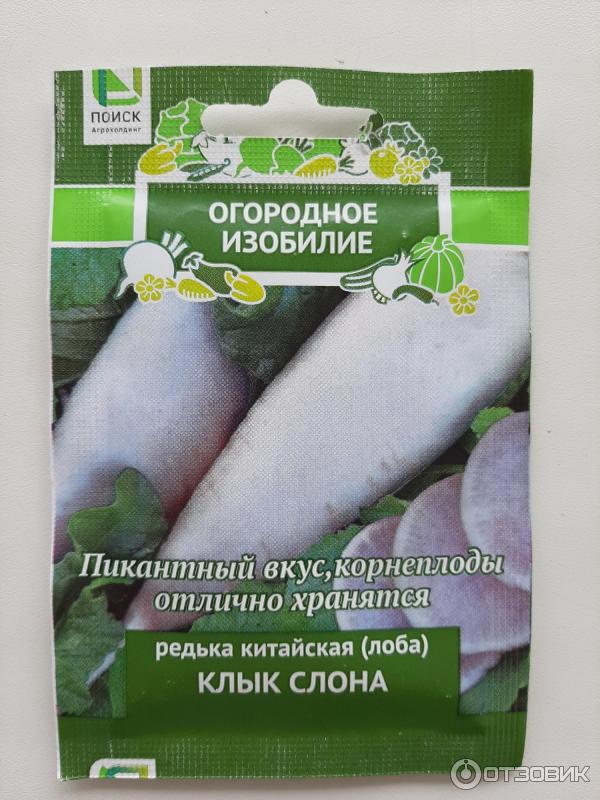 Отзыв о Семена Дайкон "Клык слона" | Без плодов, но с семенами