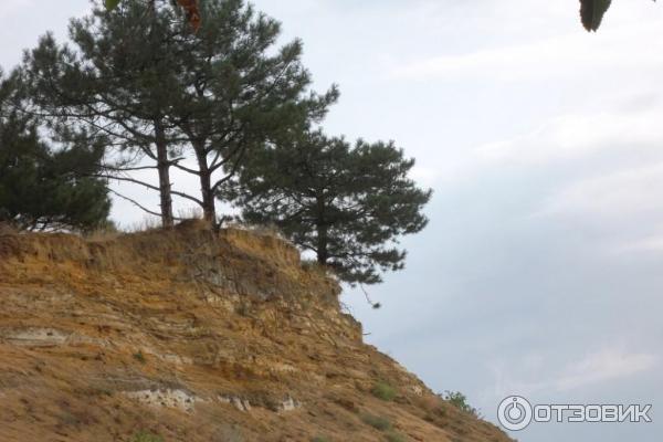 Отзыв о Отдых на Цимлянском водохранилище. (Россия, Ростовская область ...