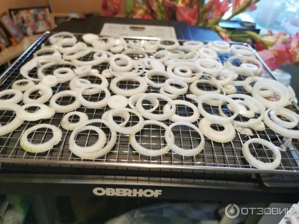 Отзыв о Дегидратор Oberhof B-53 | Можно быстро и много высушить ...